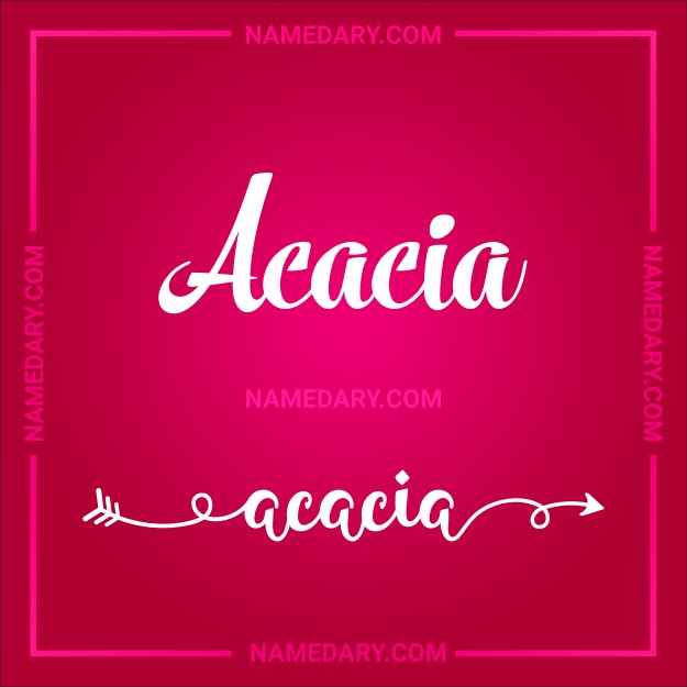 Acacia: Meaning, Origin, Traits & More | Namedary