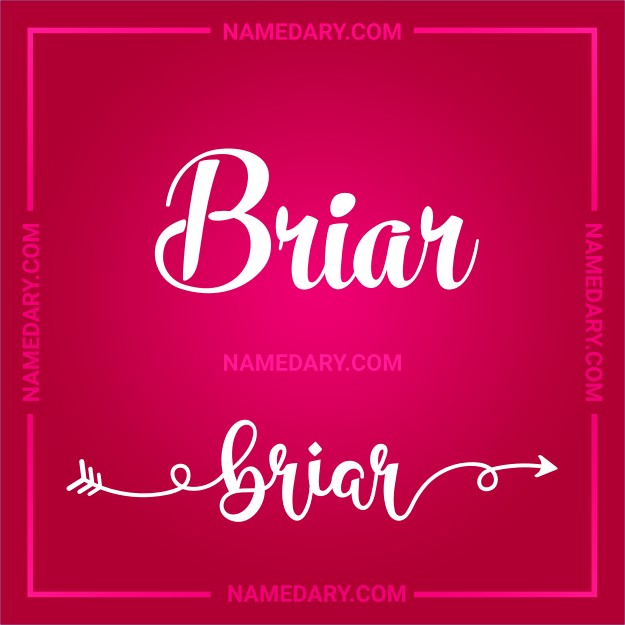 Briar: Meaning, Origin, Traits & More | Namedary