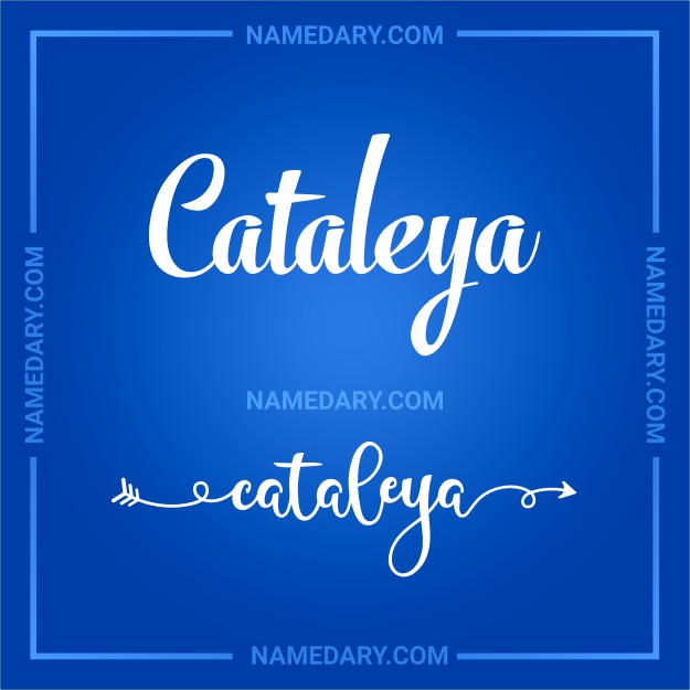 Cataleya: Meaning, Origin, Traits & More | Namedary