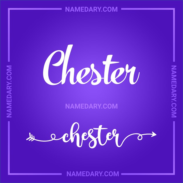 Chester: Meaning, Origin, Traits & More | Namedary