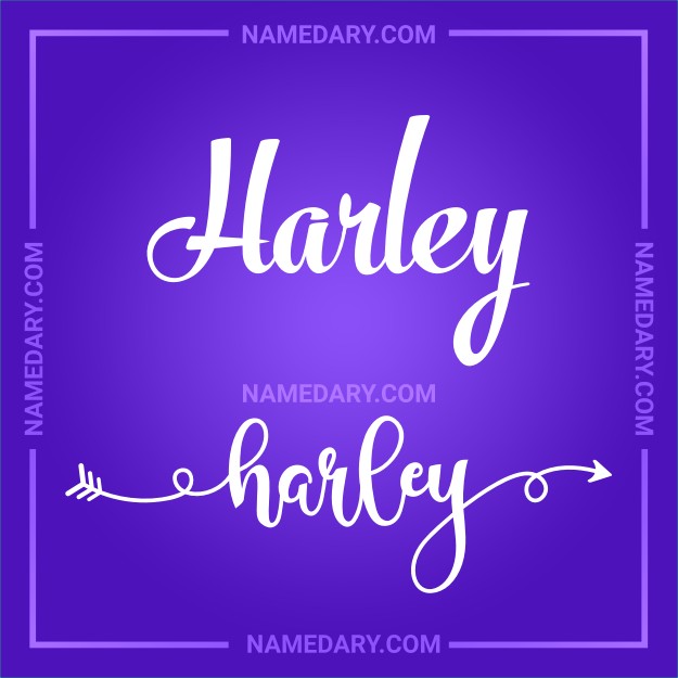 Harley: In-Depth Name Meaning, Popularity Trends, and More Insights