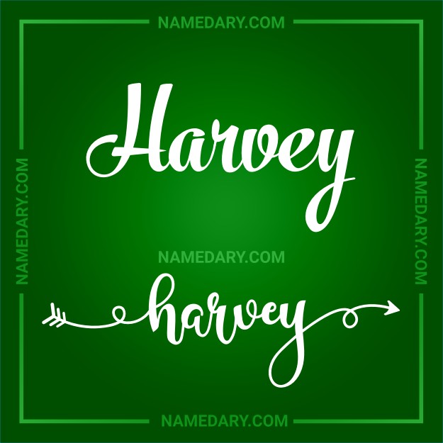Harvey: Meaning, Origin, Traits & More | Namedary