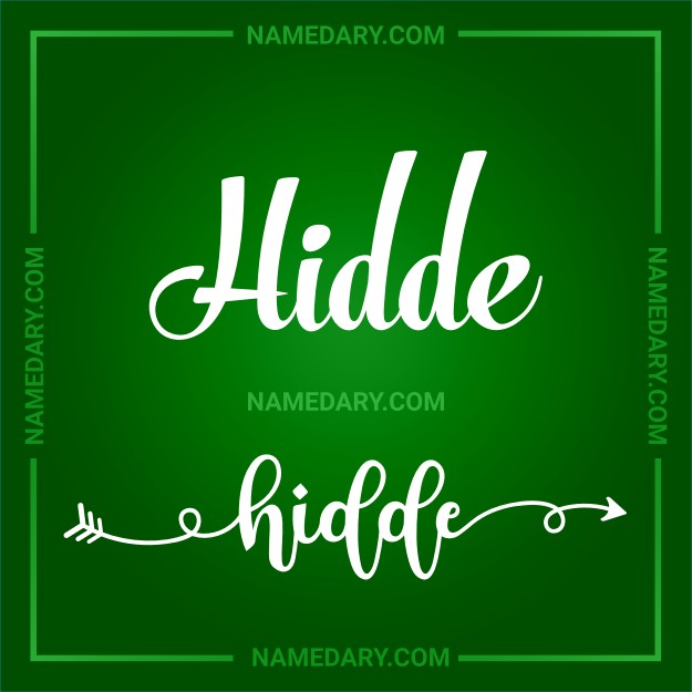 Hidde: In-Depth Name Meaning, Popularity Trends, and More Insights