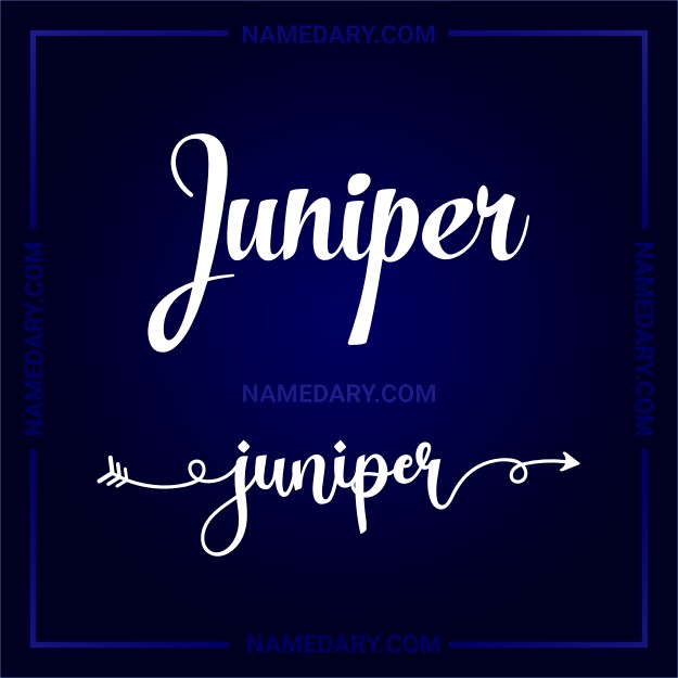 Juniper: Meaning, Origin, Traits & More | Namedary
