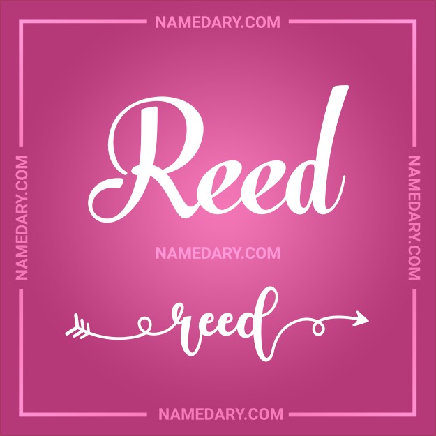 Reed: In-Depth Name Meaning, Popularity Trends, and More Insights