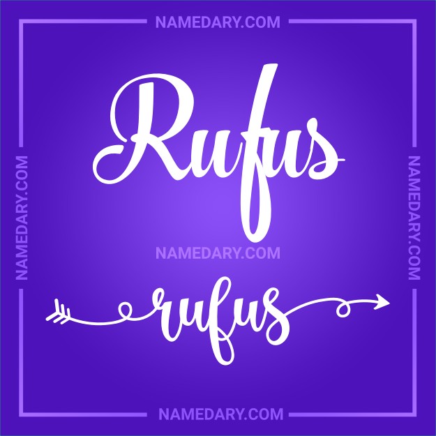 Rufus: Meaning, Origin, Traits & More | Namedary