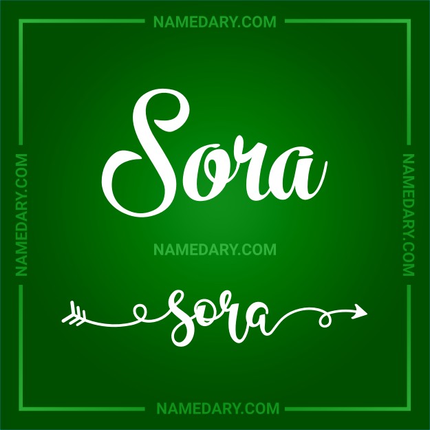 Sora: In-Depth Name Meaning, Popularity Trends, and More Insights