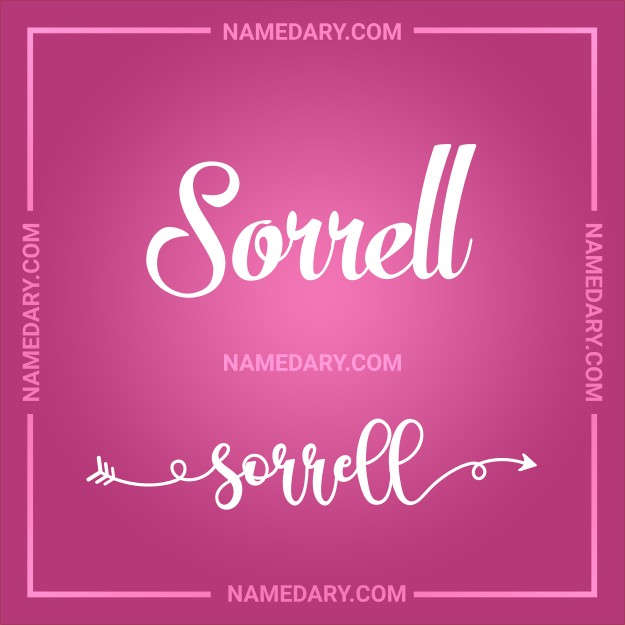 Sorrell: Meaning, Origin, Traits & More | Namedary