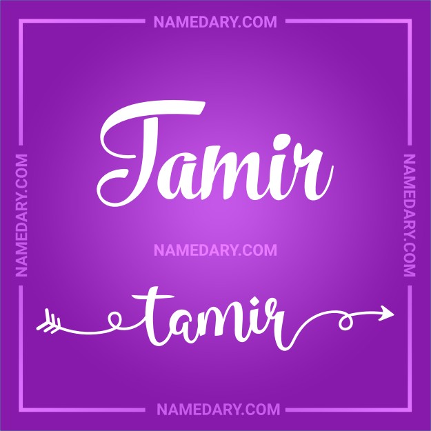 Tamir: Meaning, Origin, Traits & More | Namedary