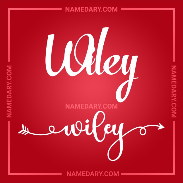 Wiley: Meaning, Origin, Traits & More | Namedary